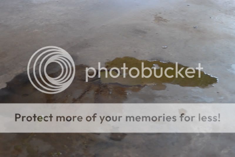 ABS light and coolant leak | SaabCentral Forums