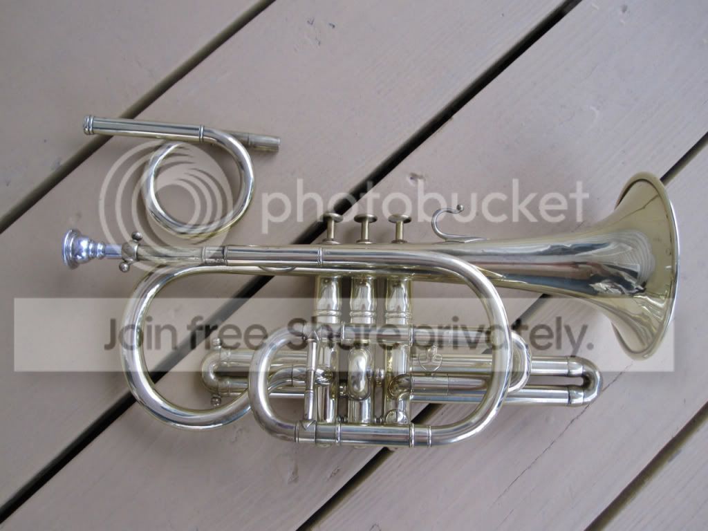 Official Cool Cornet Picture Thread - View topic: Trumpet Herald forum