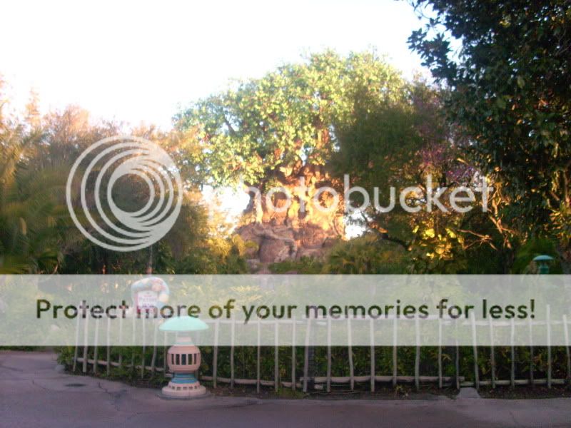 Table for Humina, Humina?_____completed! 7/30 | Page 7 | The DIS Disney ...