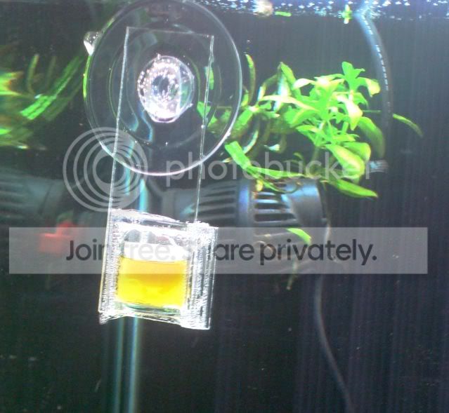 Drop Checker for DIY CO2 | The Planted Tank Forum