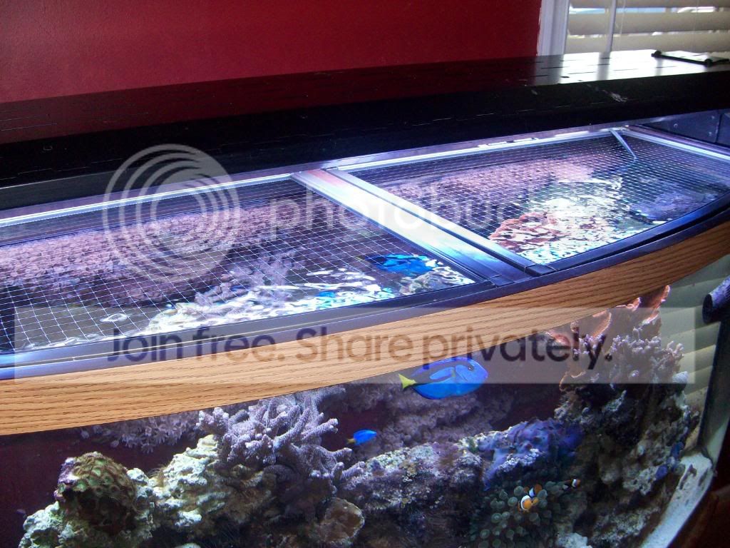 DIY screen top for a bowfront tank??? | Reef2Reef